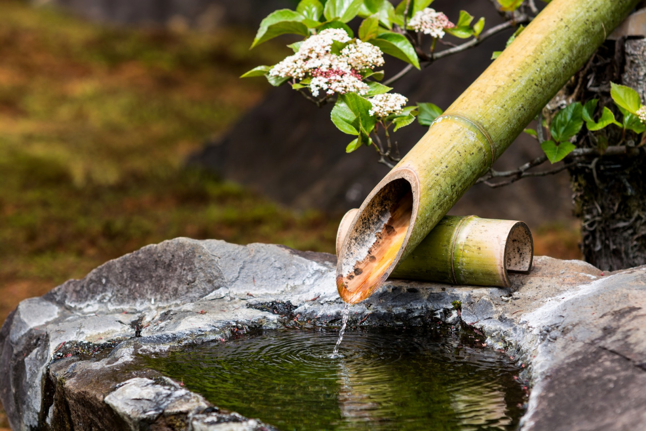 Ciek wodny - źródło przyjemności - Mój Piękny Ogród