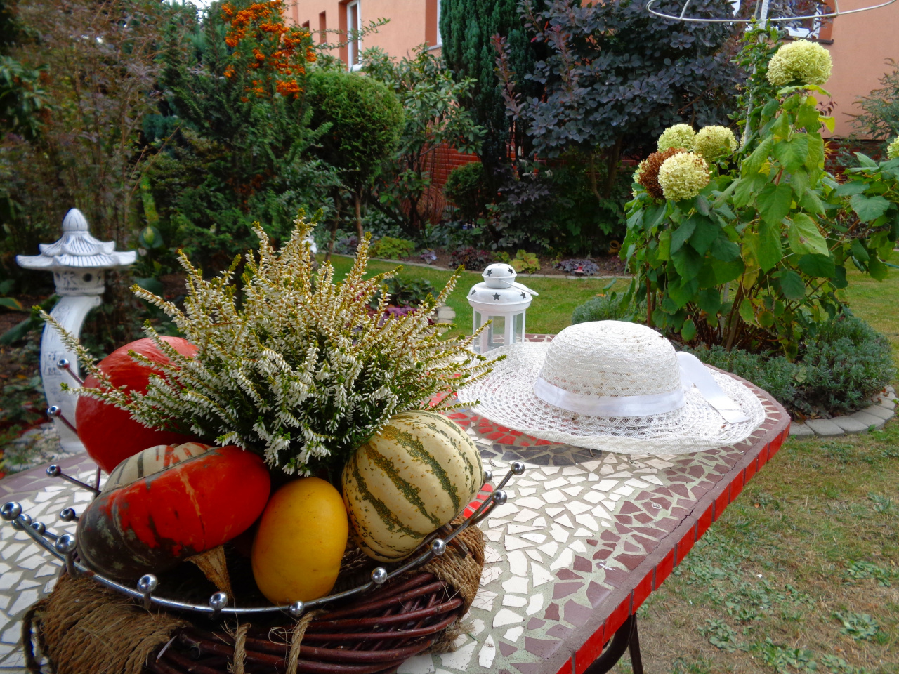 Jesienne obrazy w ogrodzie - Mój Piękny Ogród