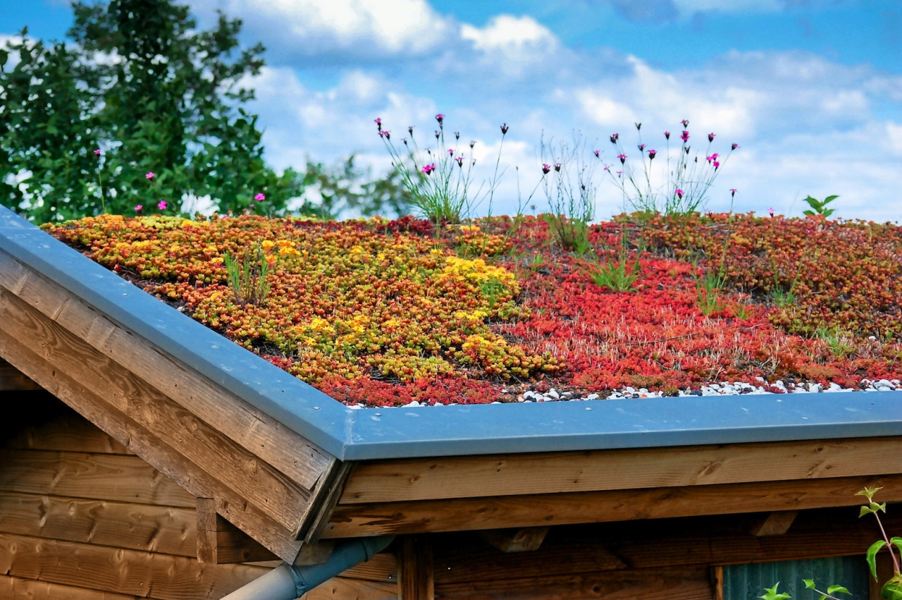 Zielone dachy - Mój Piękny Ogród