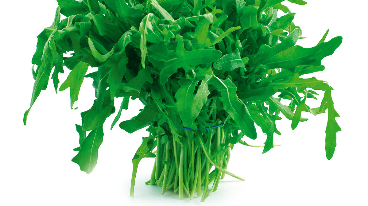 Zdrowa rukola - Mój Piękny Ogród - Ogrody ozdobne, Rośliny, Kwiaty