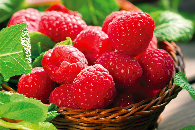 Pyszne maliny pełne zdrowia - Mój Piękny Ogród - Ogrody ozdobne ...