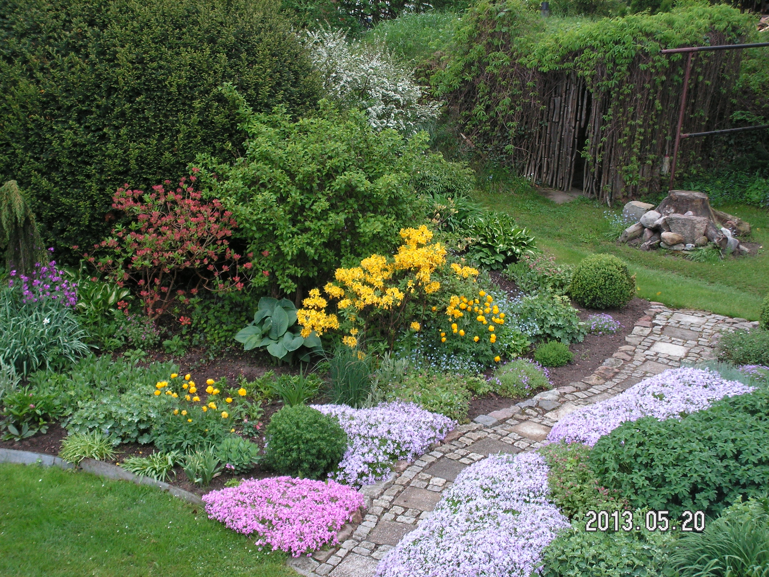 Zdjęcia Ogrodowe - Mój Piękny Ogród - Ogrody ozdobne, Rośliny, Kwiaty