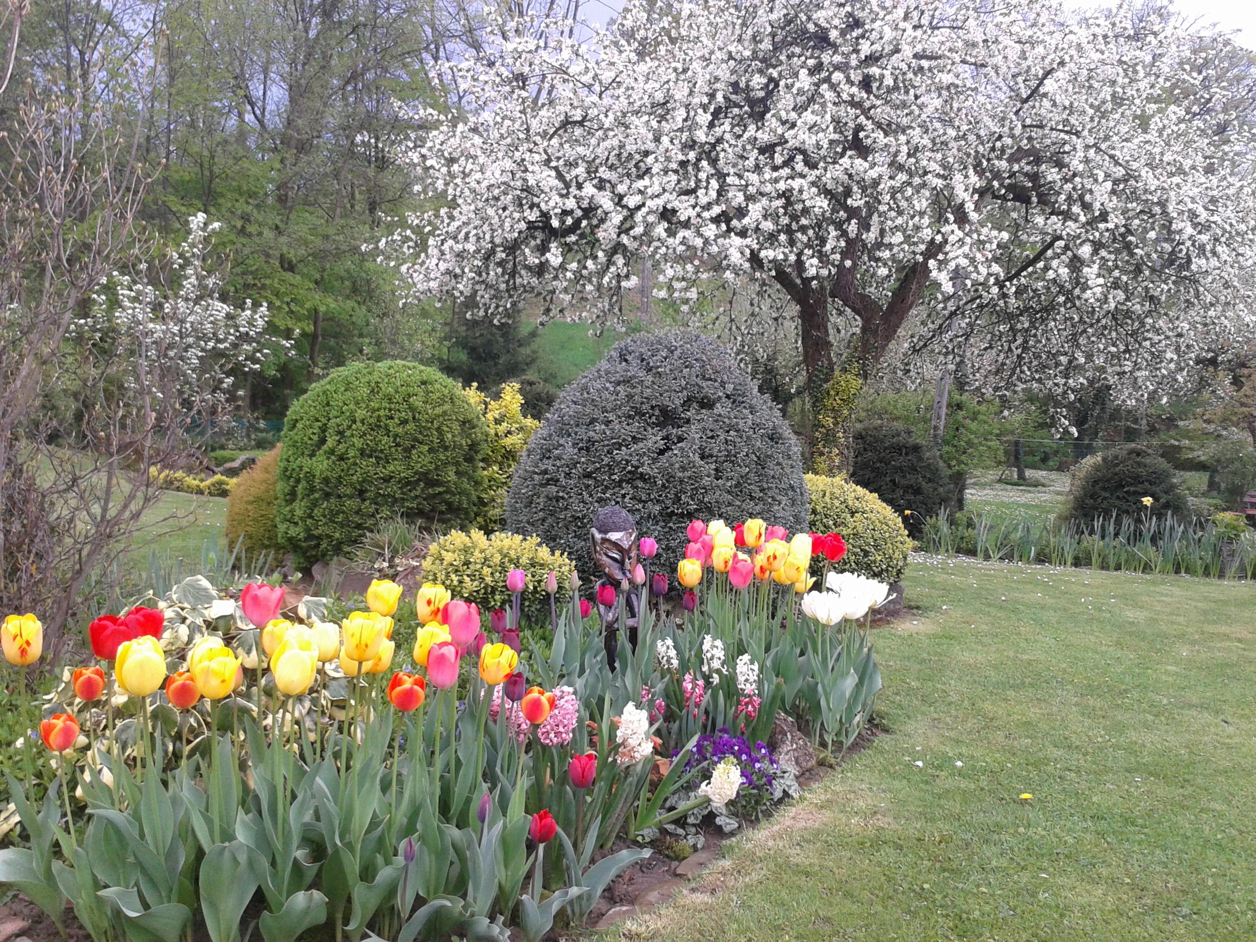 Ogród w górach. - Mój Piękny Ogród - Ogrody ozdobne, Rośliny, Kwiaty