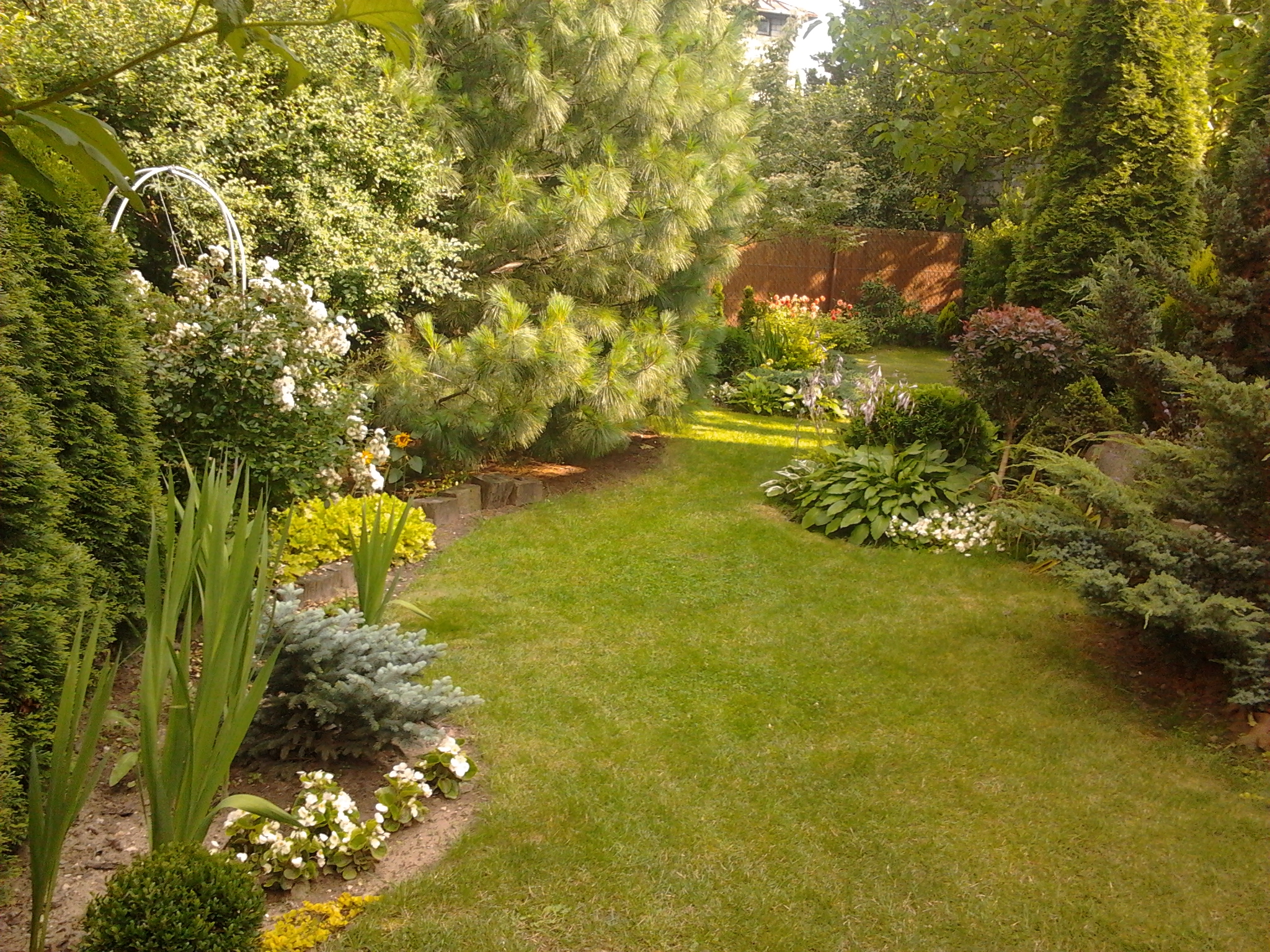 Zielony zakątek - Mój Piękny Ogród - Ogrody ozdobne, Rośliny, Kwiaty