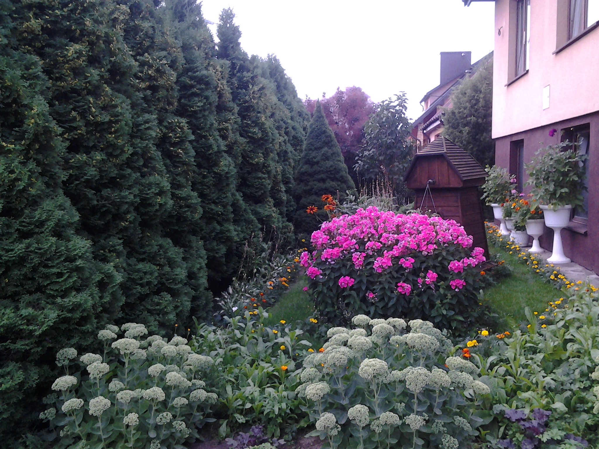 Wymarzony ogród - Mój Piękny Ogród - Ogrody ozdobne, Rośliny, Kwiaty