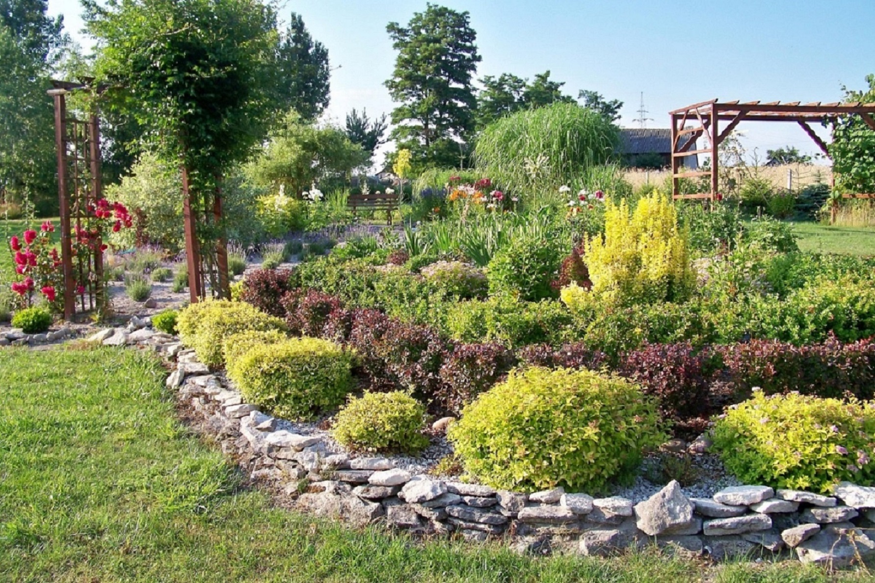 Ogród pod lasem - Mój Piękny Ogród - Ogrody ozdobne, Rośliny, Kwiaty