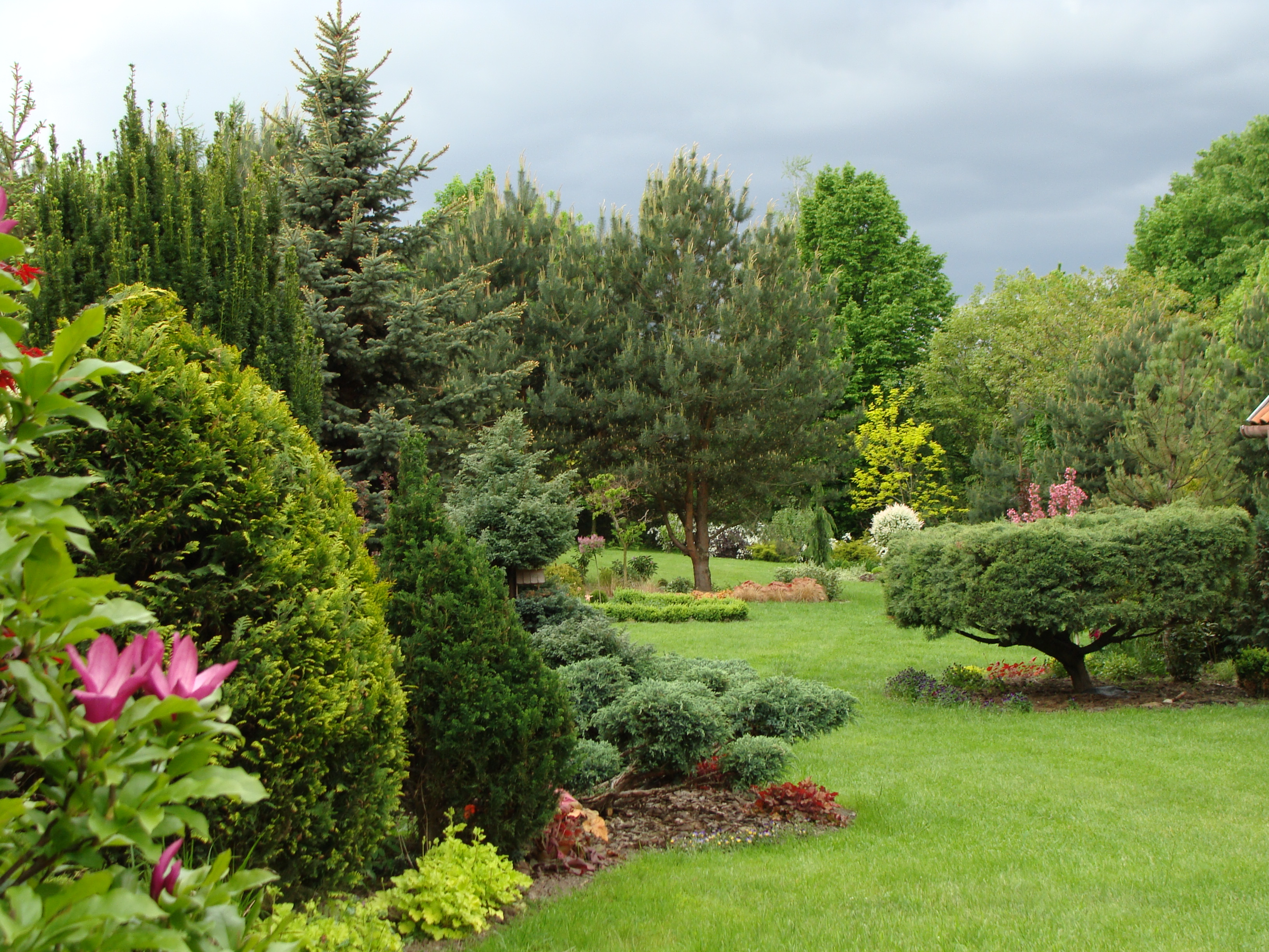 Ogród wśród sosen - Mój Piękny Ogród - Ogrody ozdobne, Rośliny, Kwiaty