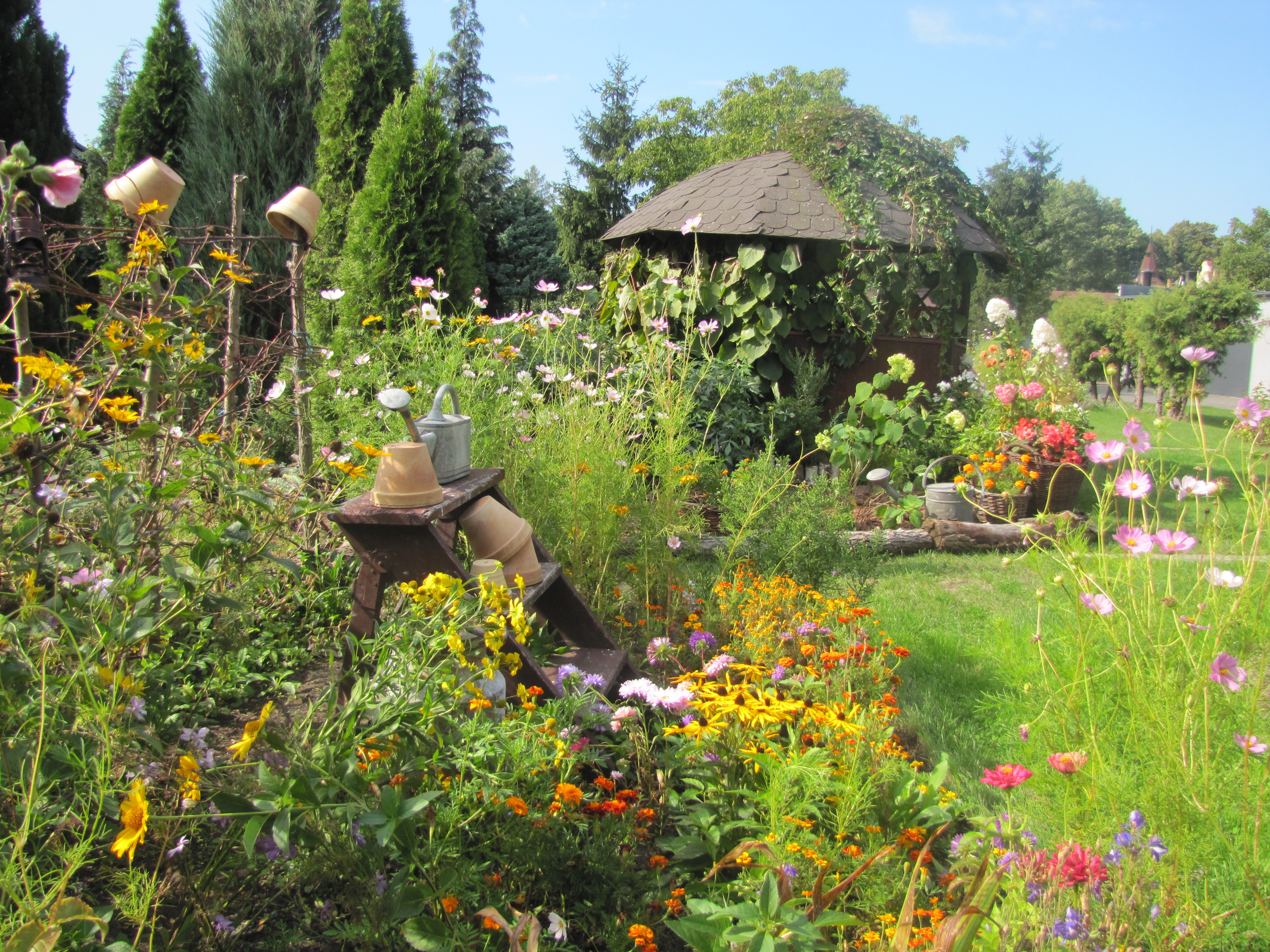Wrzesień w ogrodzie. - Mój Piękny Ogród - Ogrody ozdobne, Rośliny, Kwiaty
