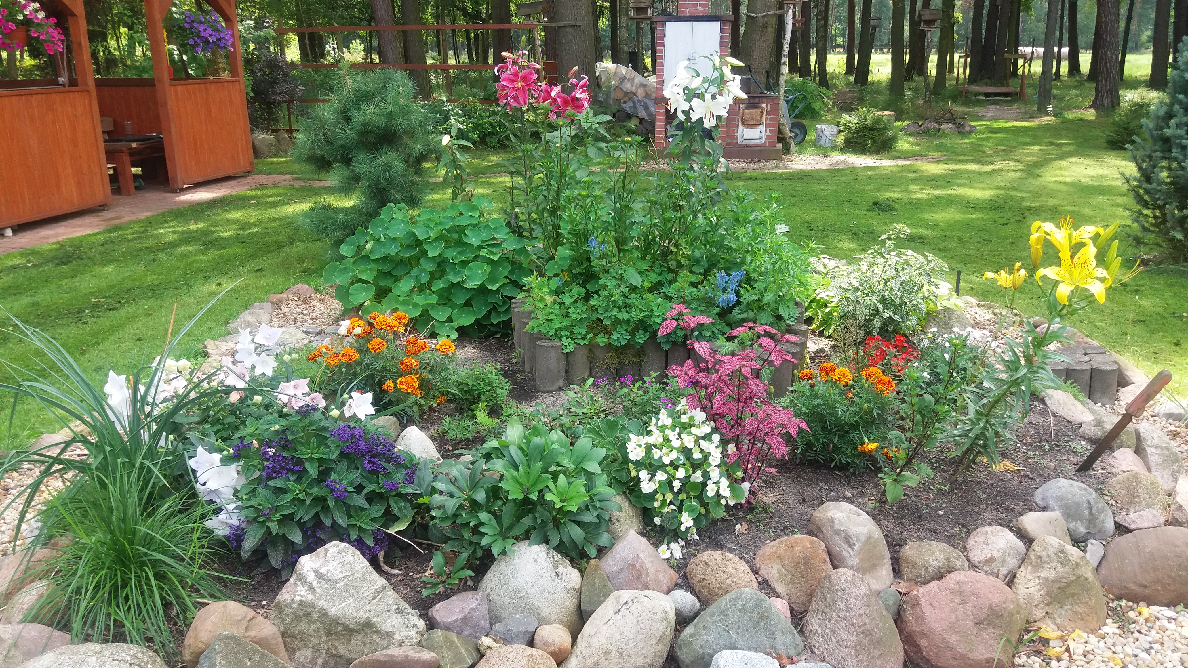 Ogród szczęsliwej emerytki - Mój Piękny Ogród - Ogrody ozdobne, Rośliny ...
