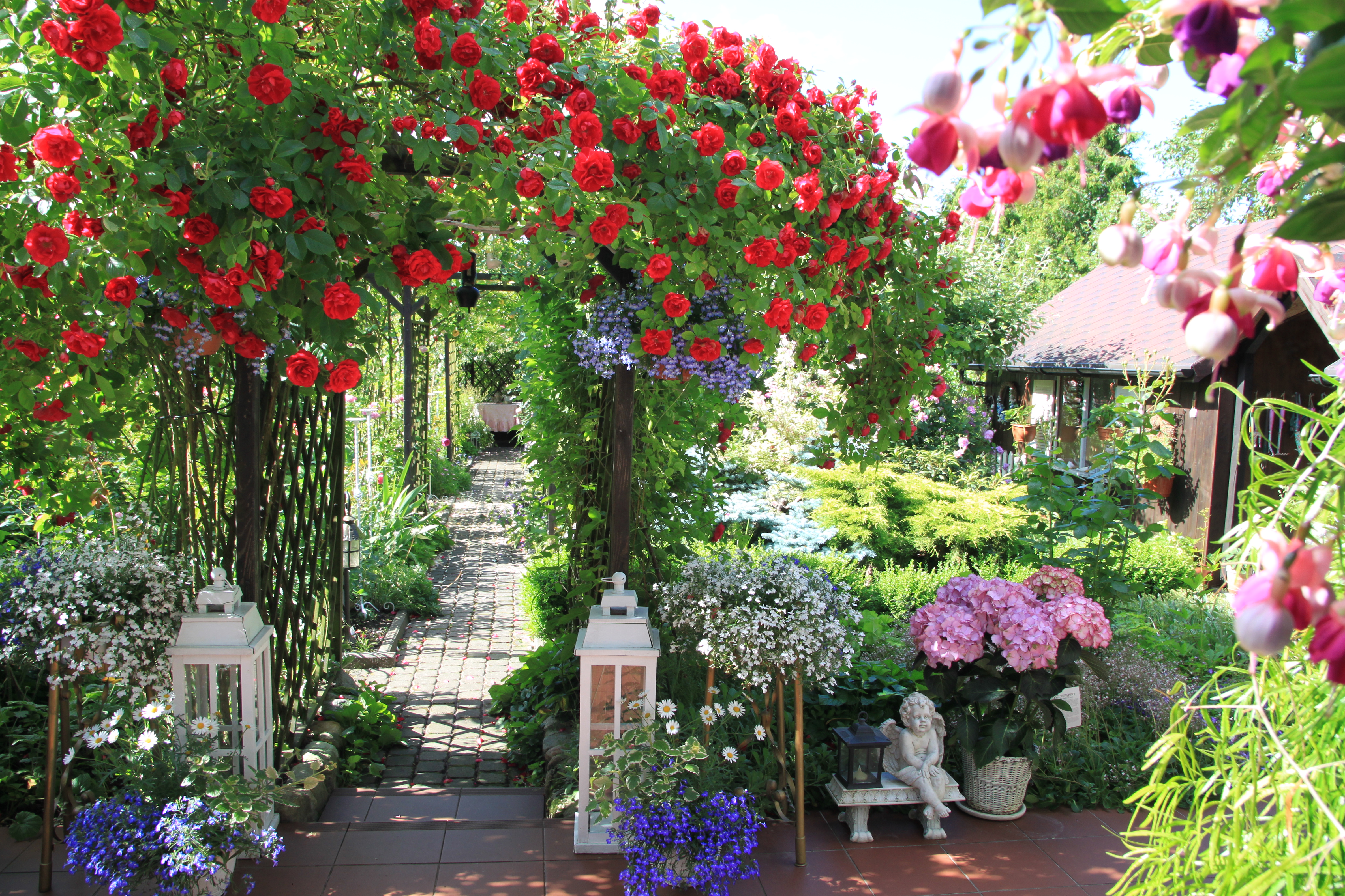 Na tarasie - Mój Piękny Ogród - Ogrody ozdobne, Rośliny, Kwiaty