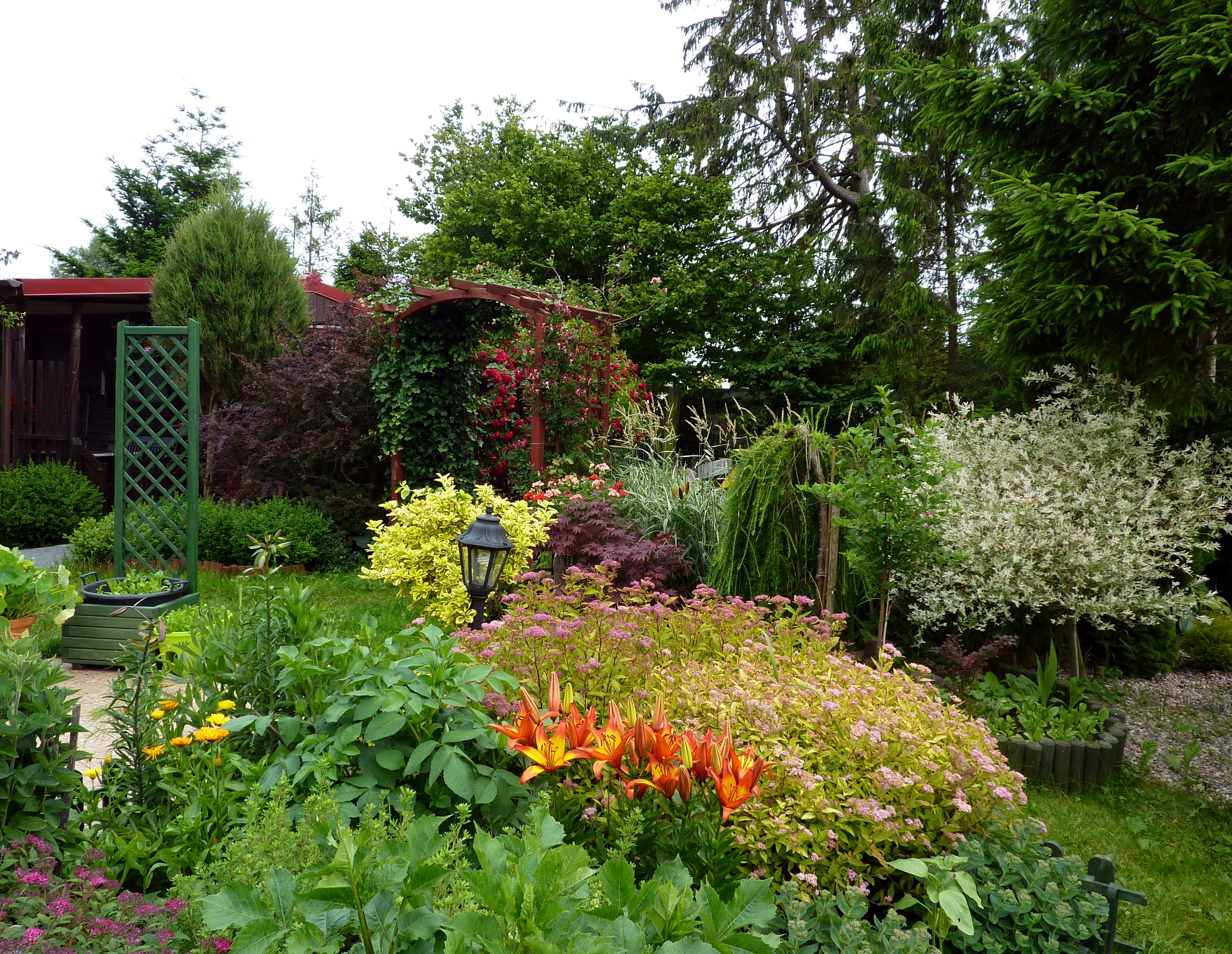 W moim ogrodzie stawiam na kwiaty letnie - Mój Piękny Ogród - Ogrody ...