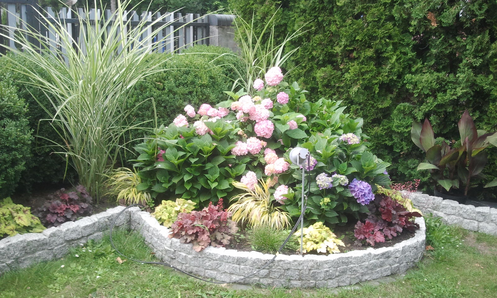 Ogród Danuty: Ład i Harmonia - Mój Piękny Ogród - Ogrody ozdobne ...