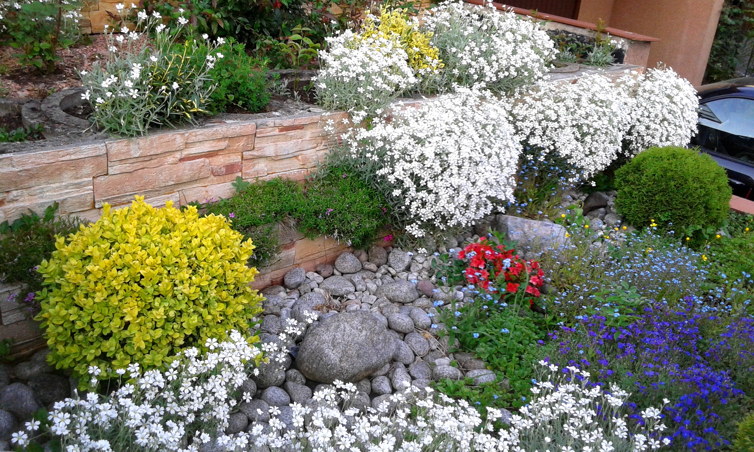 Tajemniczy ogród - Mój Piękny Ogród - Ogrody ozdobne, Rośliny, Kwiaty